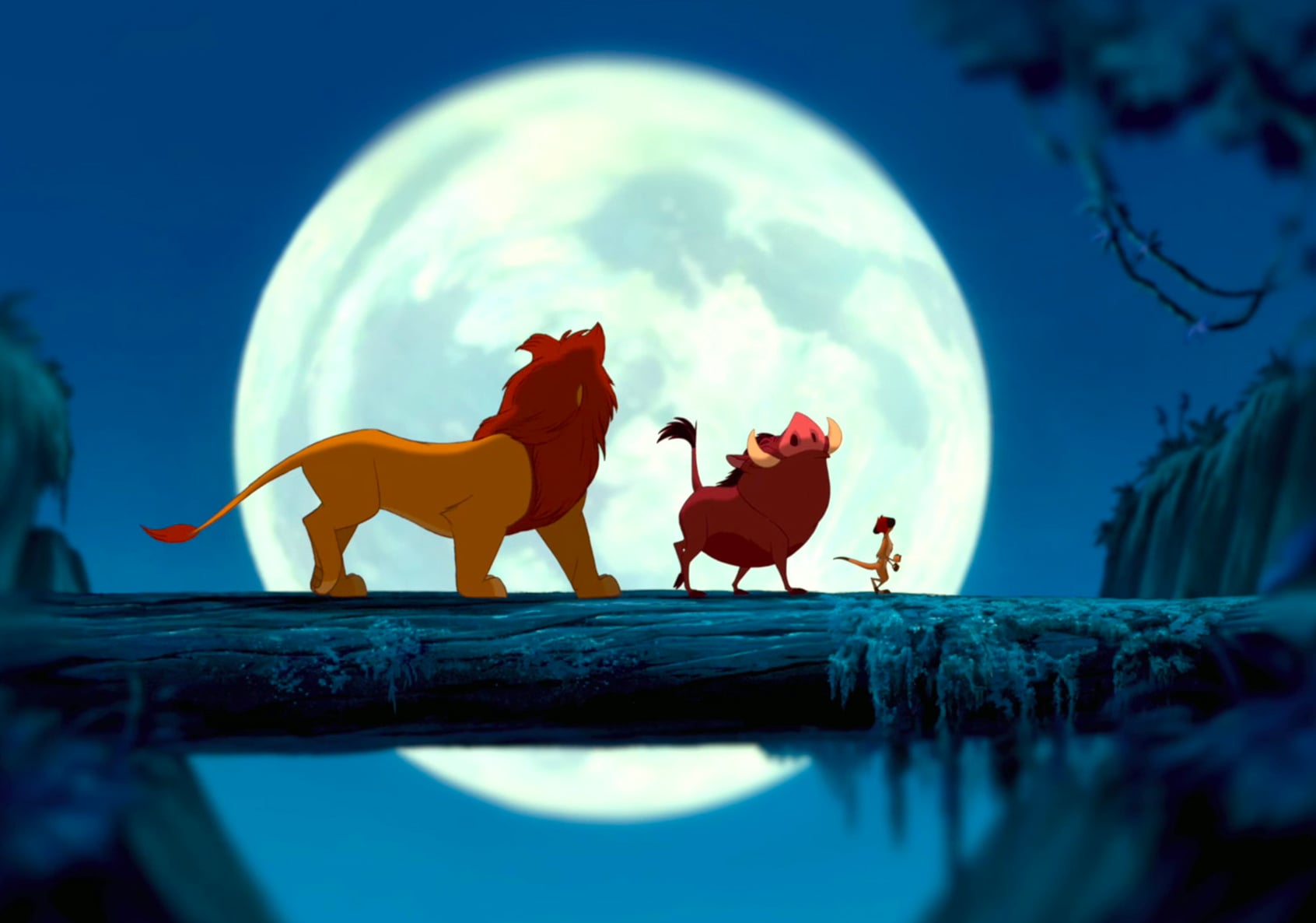 Le Roi Lion : tout savoir sur le plus célèbre des lions